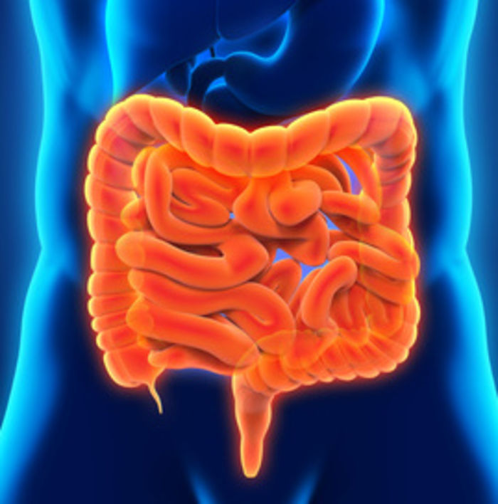 Morbus Crohn | Ordensklinikum Linz