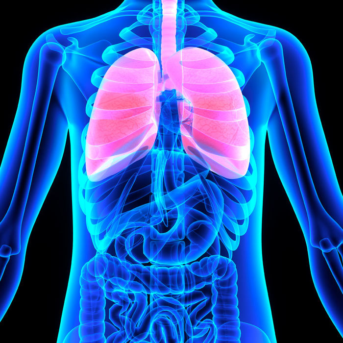 Lungenembolie | Schwerpunkt Lunge | Ordensklinikum Linz