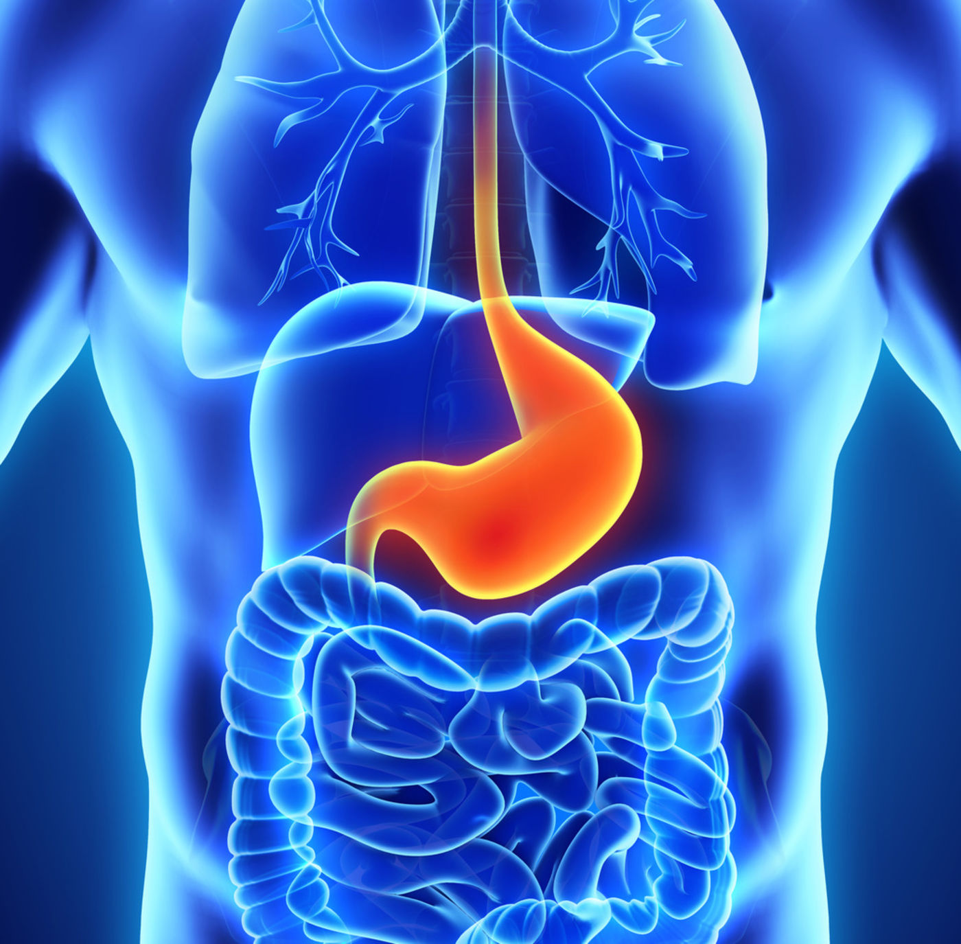 Magenkrebs | Ordensklinikum Linz