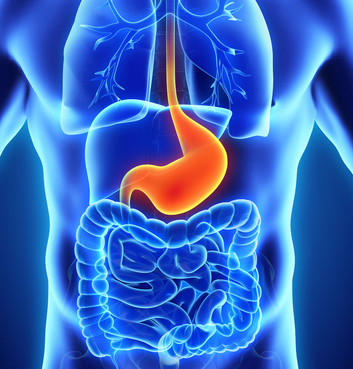 Gastritis/Ulkus | Ordensklinikum Linz